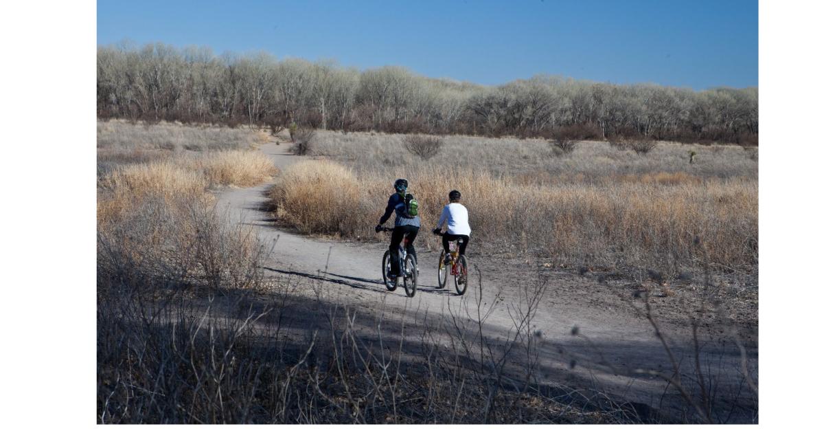 BLM Tucson Field Office Recreation Fee Sites and Areas Draft Business ...