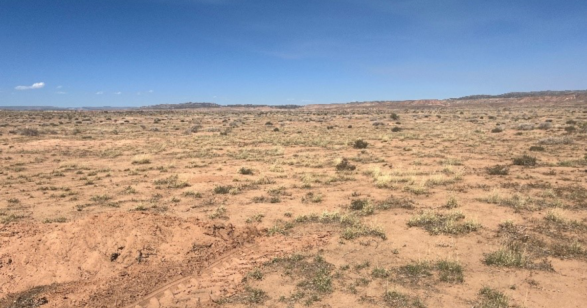 BLM to conduct aerial herbicide applications in northeastern Utah ...