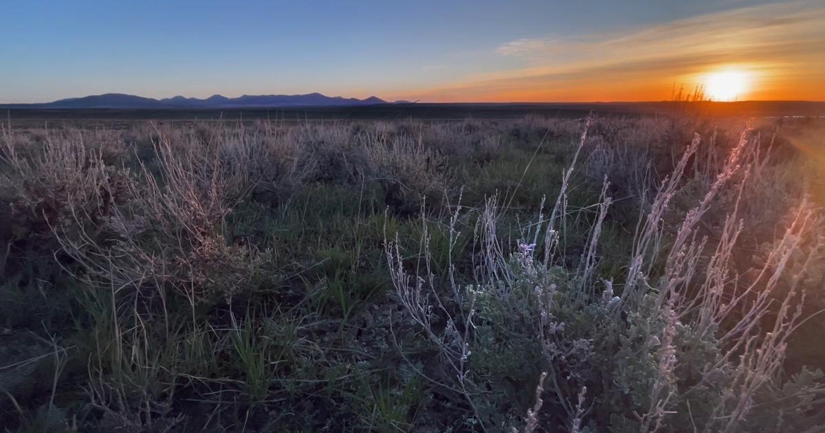 BLM announces winners of the 2024 Rangeland Stewardship and Innovations ...