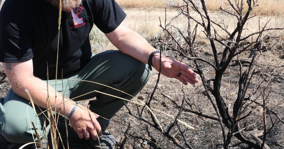 How to Investigate a Wildland Fire | Bureau of Land Management