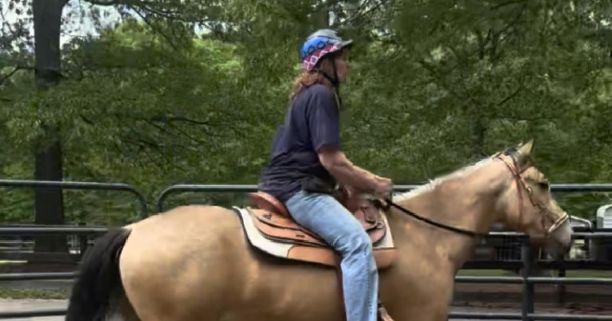 BLM Wild Horse & Burro Program Adoption Experiences: Lifelong Dream of ...