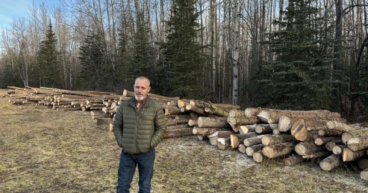 BLM Alaska staff clear hazard trees on the Campbell Tract to increase ...