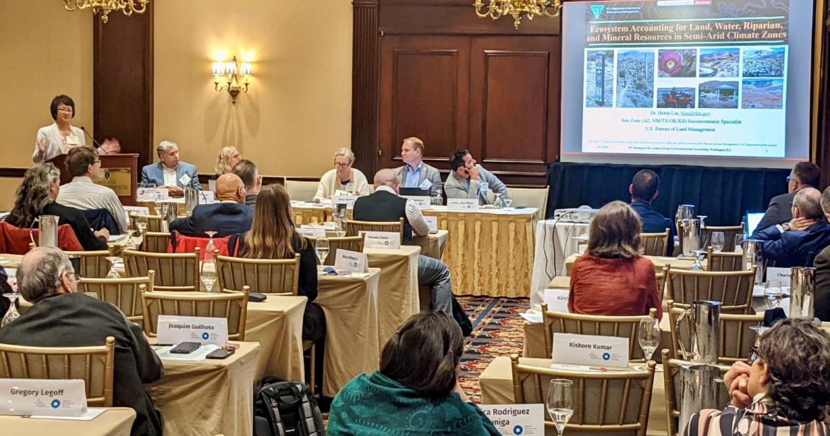 BLM gives presentation at the 30th Meeting of the London Group on ...