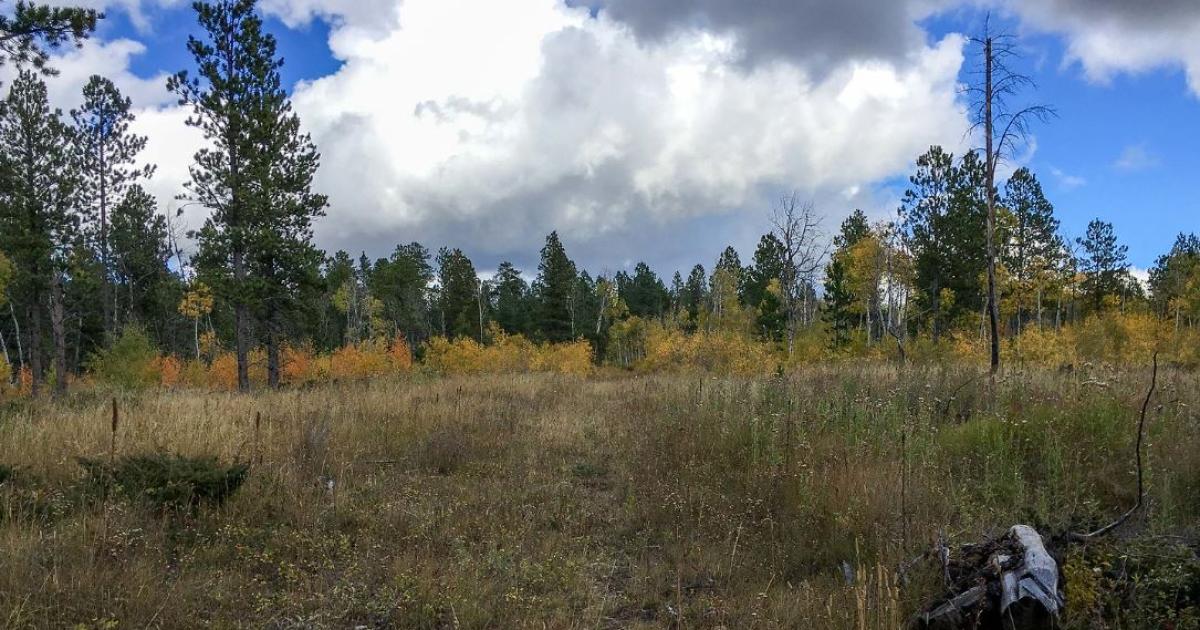 BLM extends comment period for Newcastle, Nebraska land use plan ...