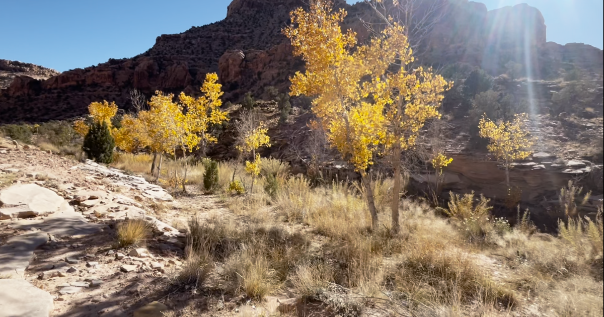 BLM issues decision on land exchange with Utah Trust Lands ...