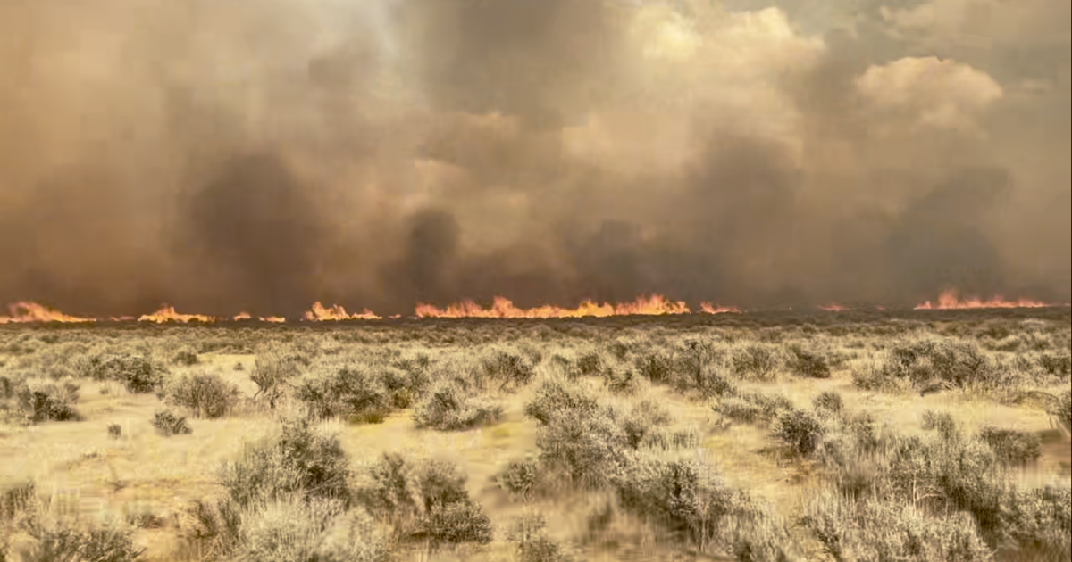 Prairie Fire Meets Its Match: How BLM Fuels Management Halted the Blaze ...