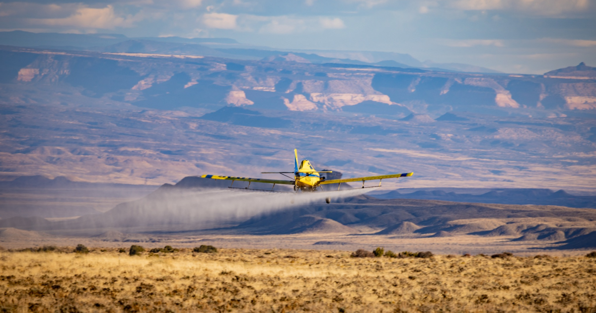 BLM to treat invasive cheatgrass near I-70 | Bureau of Land Management