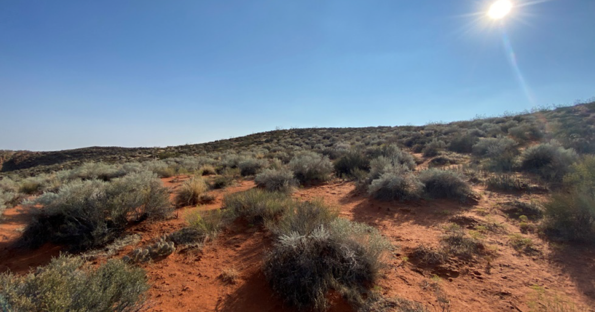 BLM conveys 929 public acres to Washington County Water Conservancy ...