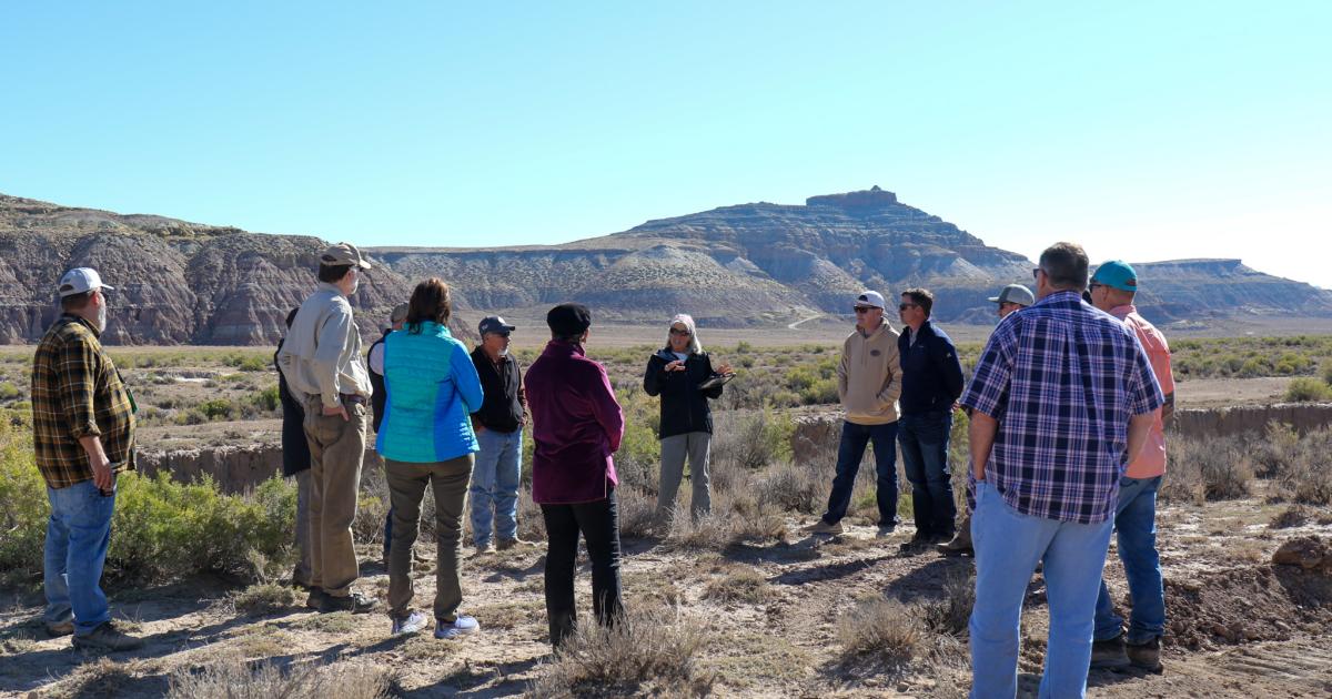 Wyoming Resource Advisory Council announces 2025 meetings | Bureau of Land Management