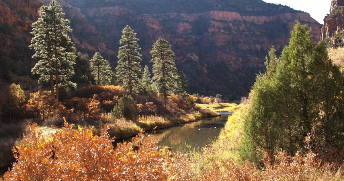 Notice of Final Supplementary Rule for Public Lands Administered by the ...