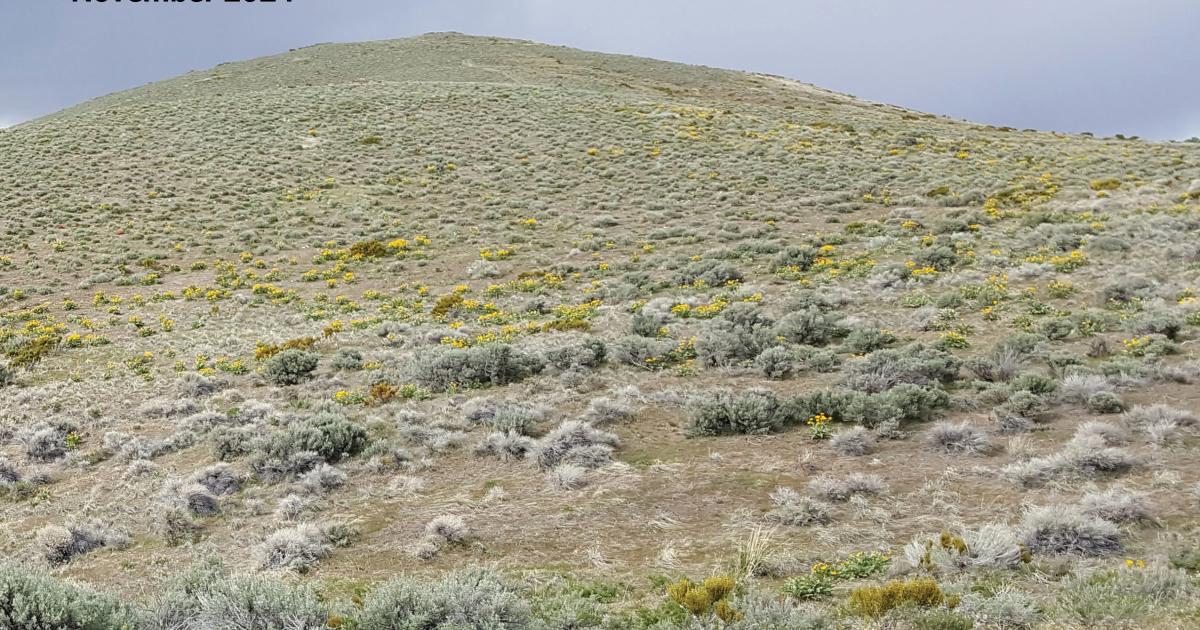 土地健康評估和許可用途授權中使用 AIM 資料的指南：技術說明 453，第 2 版 |土地管理局