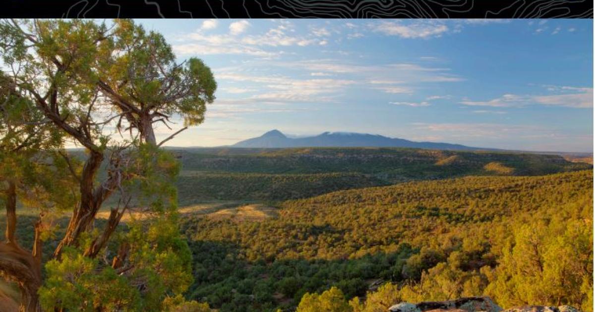Canyons of The Ancients National Monument: A Living Landscape | Bureau ...