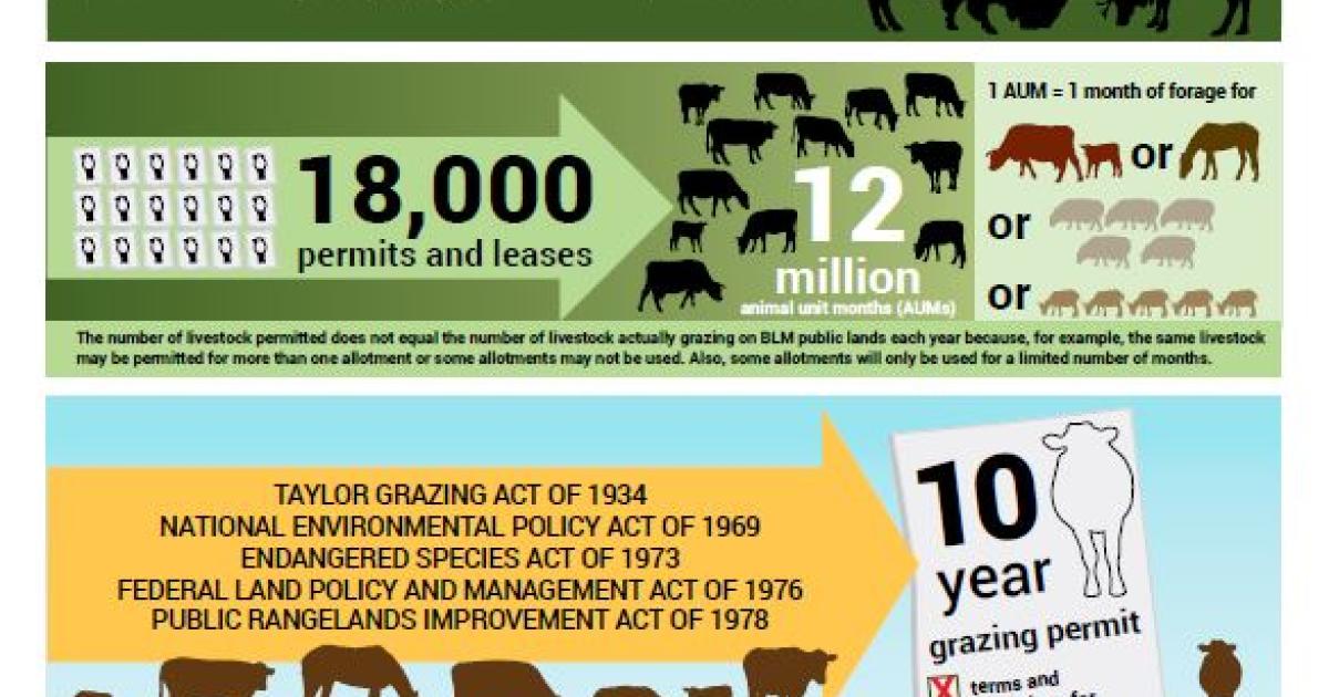 BLM Grazing Infographic | Bureau of Land Management