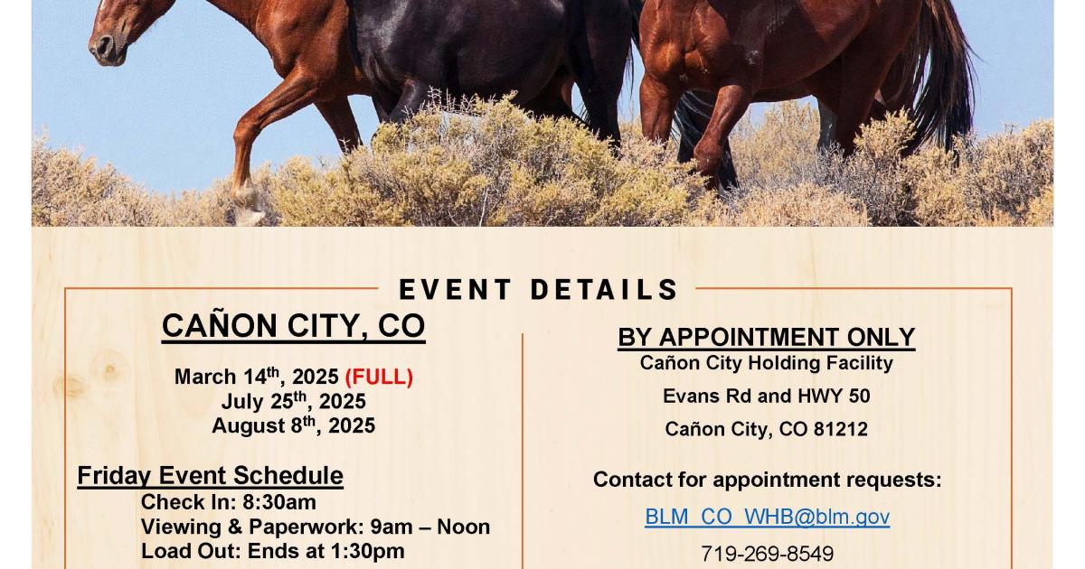 BLM to Host Wild Horse and Burro Adoptions in Colorado: Limited Spots ...