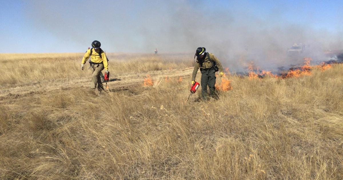 BLM announces North Central Montana District spring season prescribed ...