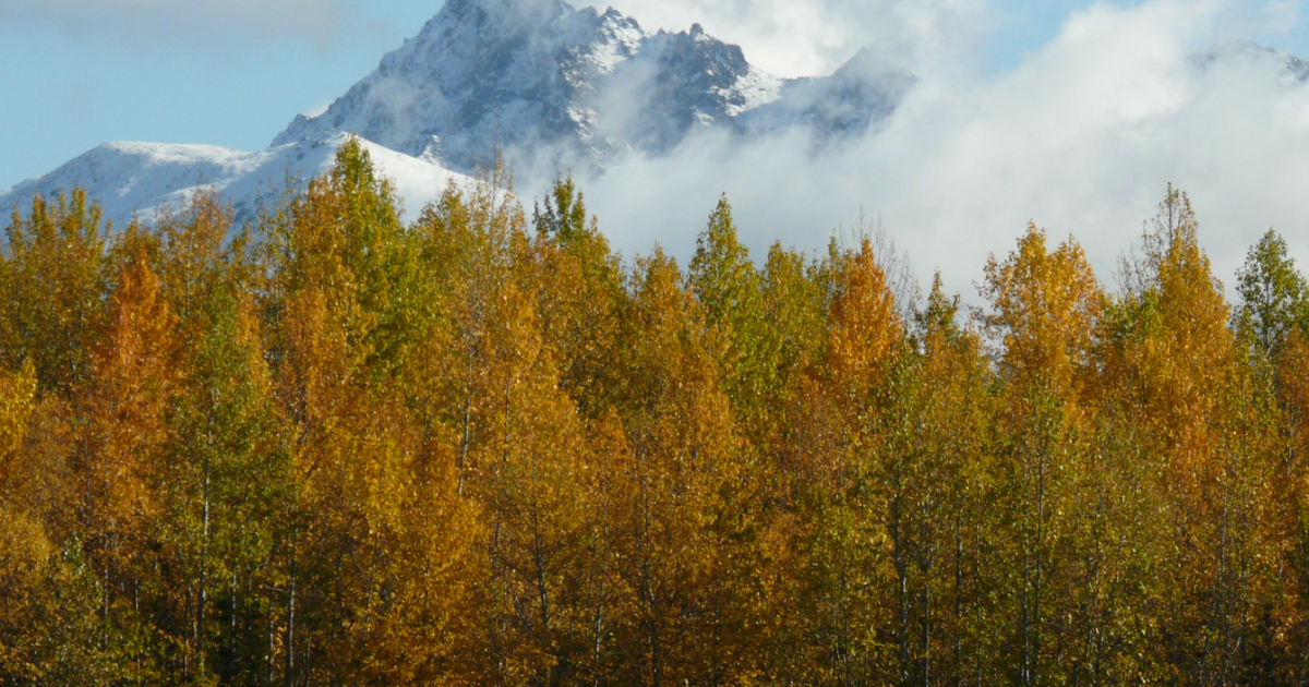 BLM seeks public input on draft Alaska Long National Scenic Trail ...