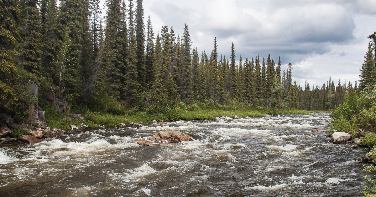 BLM Stream Gage Data Gulkana Wild and Scenic River, Alaska | Bureau of ...