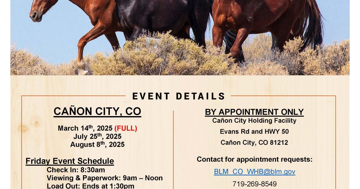 BLM Colorado offers wild horses and burros for adoption in Cañon City ...