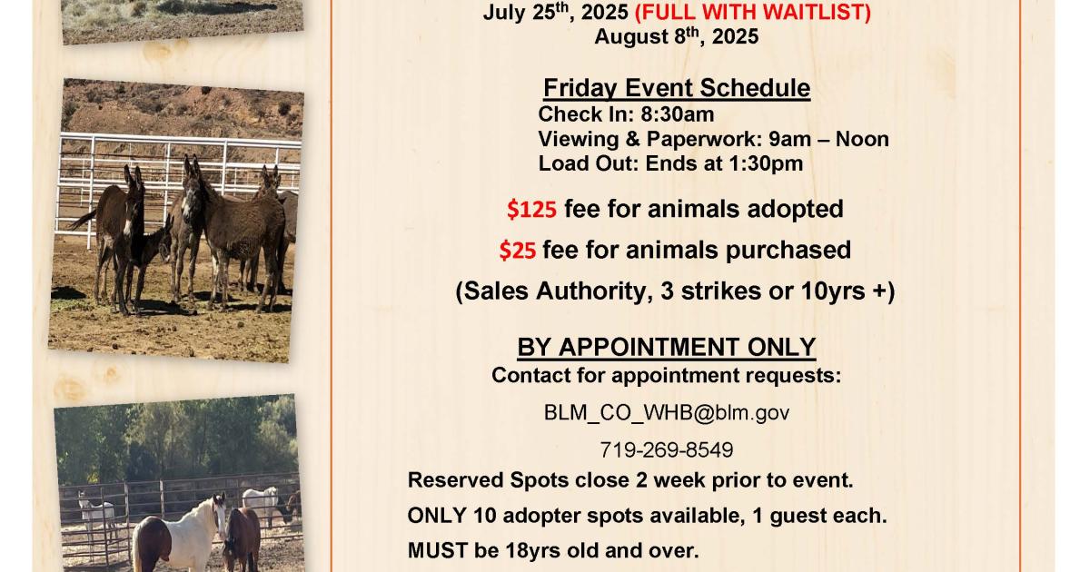 BLM Colorado offers wild horses and burros for adoption in Cañon City ...
