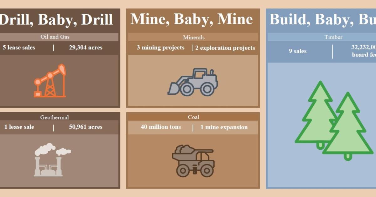 First 100 days: BLM drives energy expansion and national strength ...