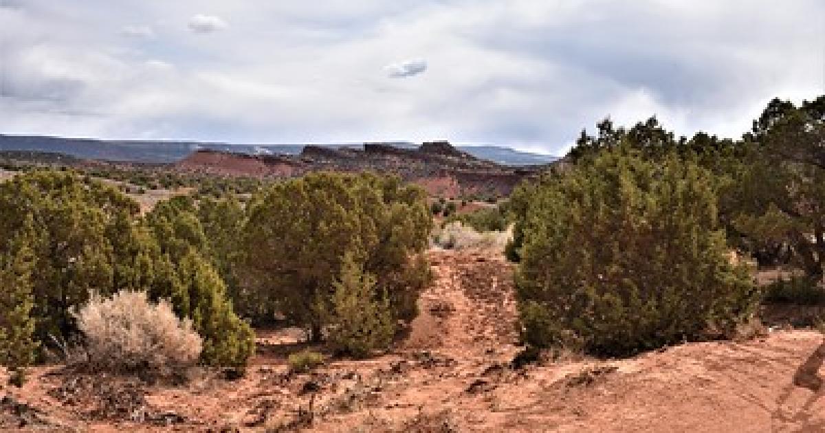 BLM approves Park Mountain Pipeline | Bureau of Land Management