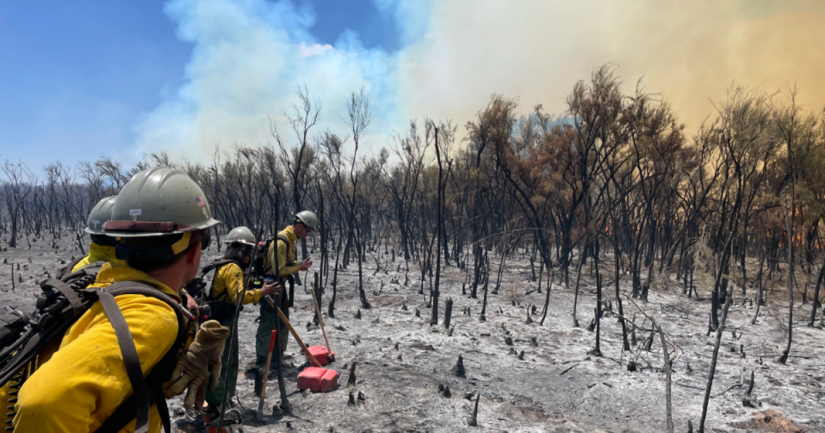 BLM Albuquerque and Las Cruces Districts implement fire restrictions ...