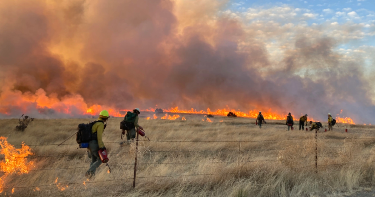 BLM Albuquerque and Las Cruces districts rescind fire restrictions ...
