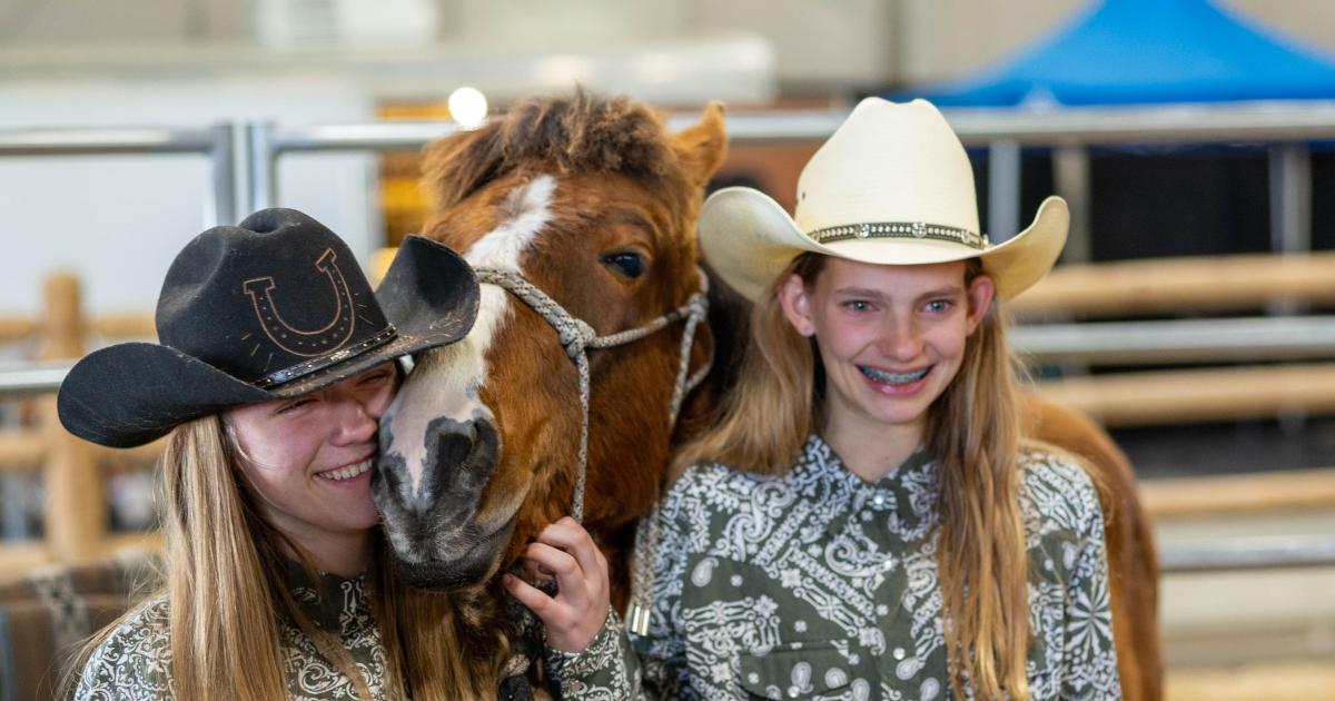 Idaho 4-Hers Partner with BLM to Offer Wild Horse Adoptions at Idaho ...
