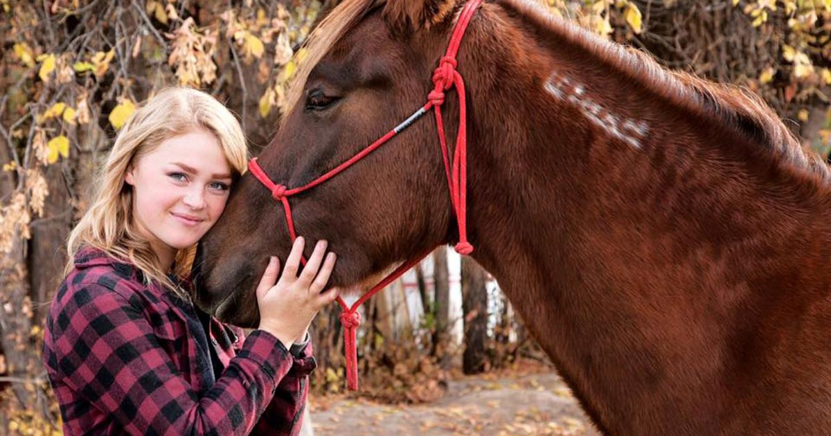 Wild Horse and Burro Adoption and Sale Events