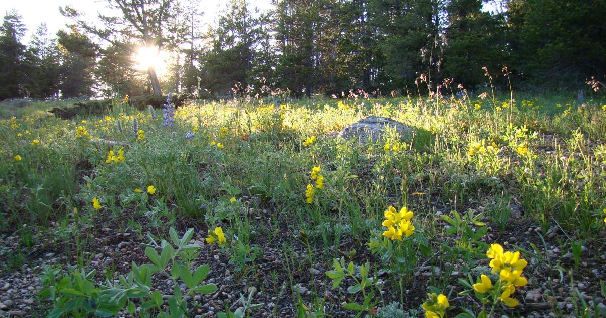BLM Casper reopens Muddy Mountain for the summer | Bureau of Land ...