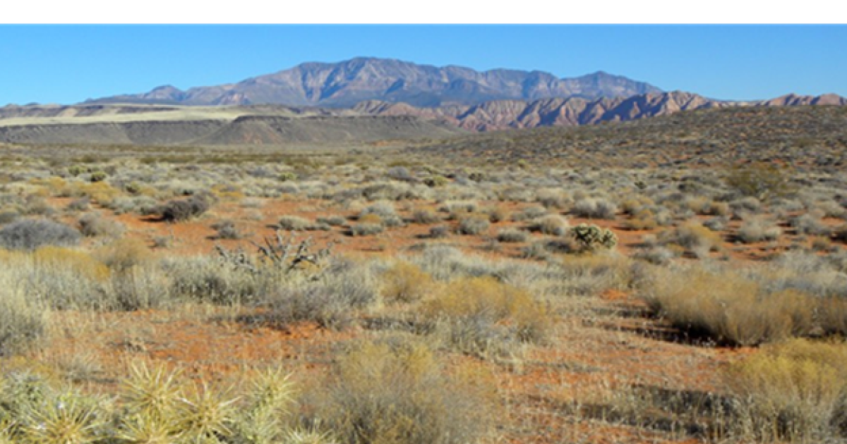 BLM approves land exchange in Washington County | Bureau of Land Management