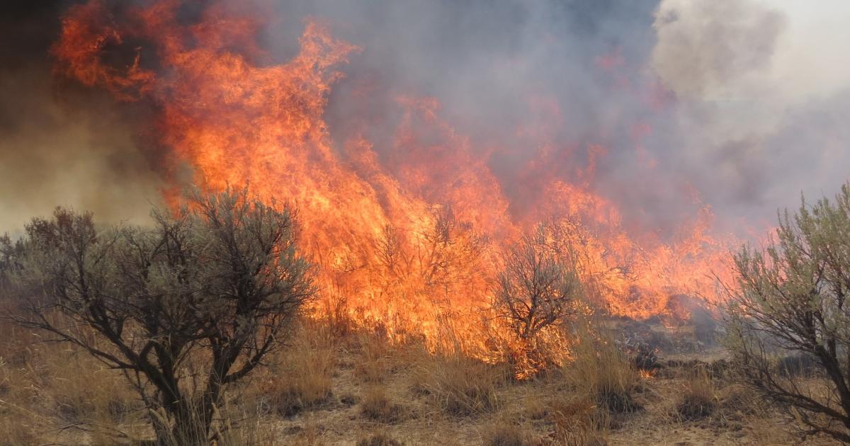 BLM closes public lands along John Day River due to Black Rock Fire ...