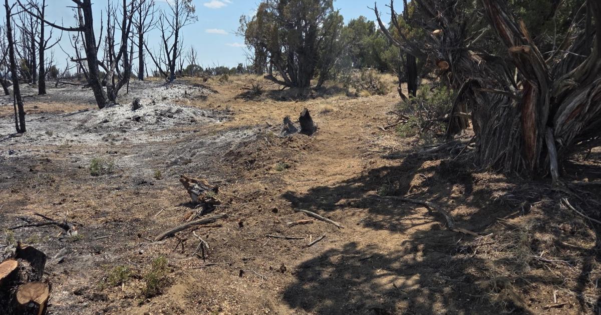 Update on Horse Draw Fire - Containment 45% | Bureau of Land Management