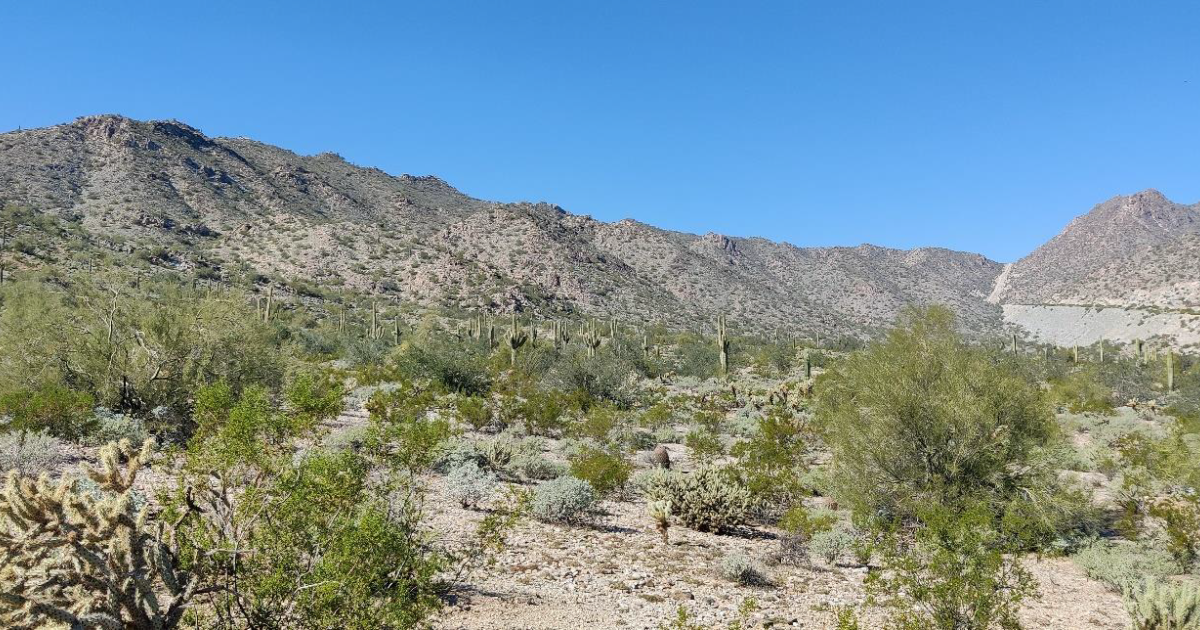 BLM seeks input on proposed lease to expand Skyline Regional Park ...