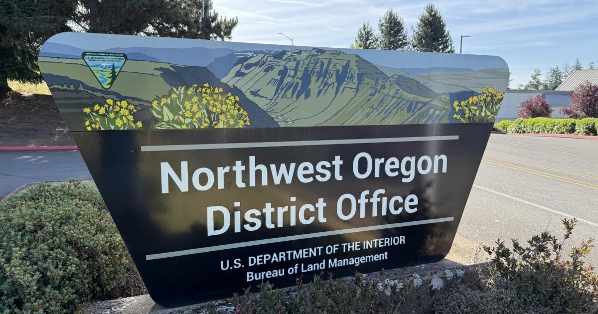 BLM timber sales to offer nearly 17 million board feet in western ...