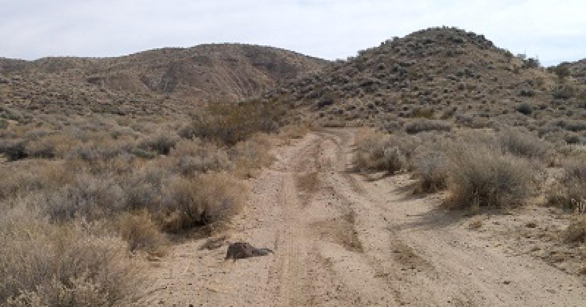 BLM seeks input on proposed five-acre mining project in Kern County ...