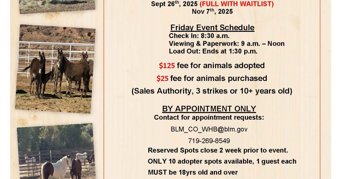 BLM Colorado offers wild horses and burros for adoption in Cañon City ...