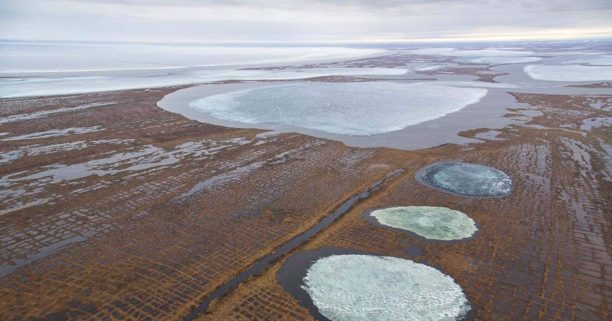 Bureau of Land Management reopens vast areas of National Petroleum ...