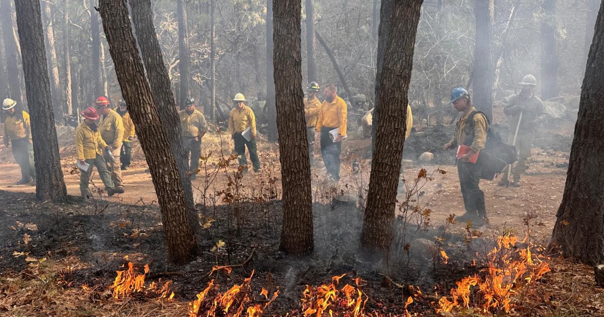 BLM hosts fire investigation training course in Kingman | Bureau of ...