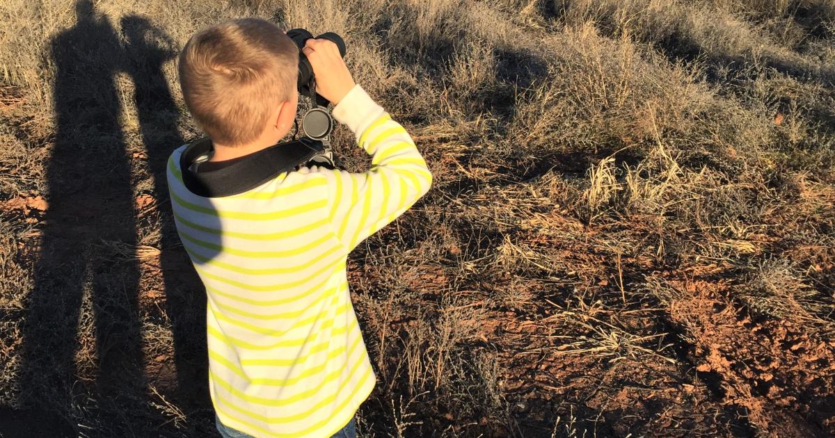 Paria River District invites volunteers to join 125th Christmas Bird ...