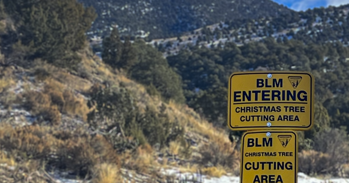 BLM Utah launches “One dollar, one tree” holiday savings across local ...