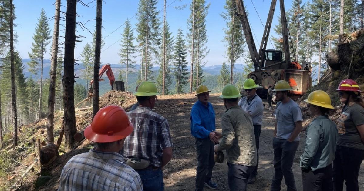 Timber Talk: OR/WA logs a big win in FY25 | Bureau of Land Management