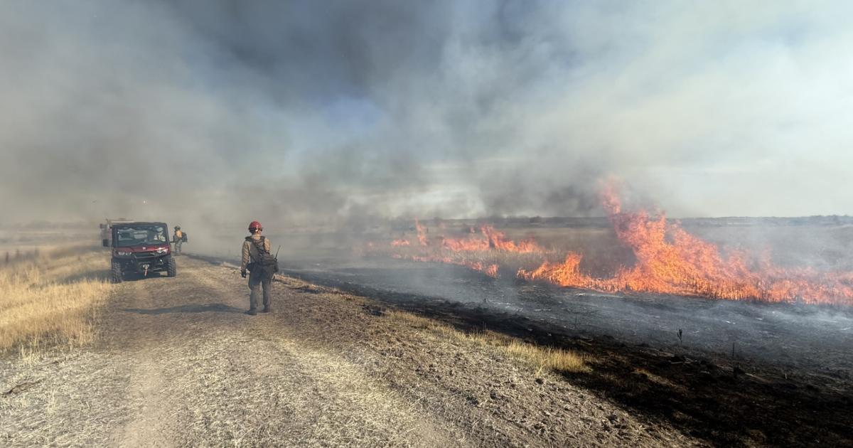 BLM Lander Field Office plans to conduct a prescribed burn | Bureau of ...