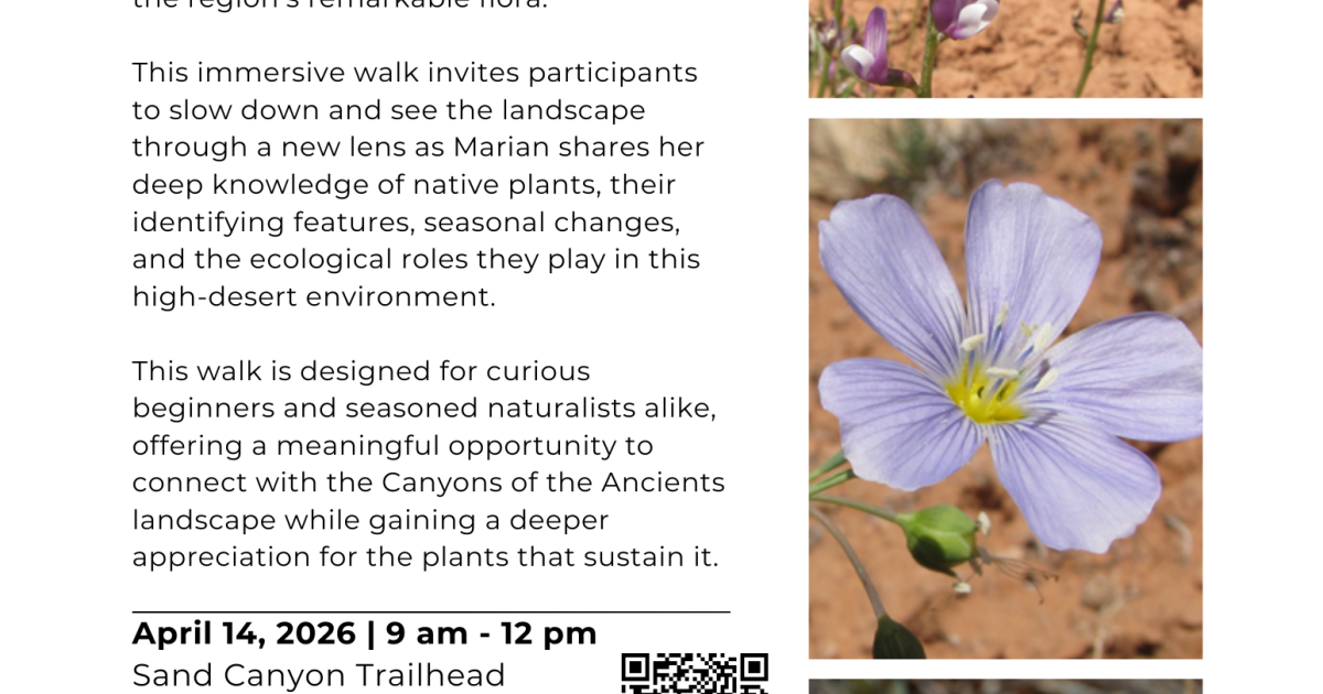 Guided plant walk scheduled at Canyons of the Ancients | Bureau of Land ...