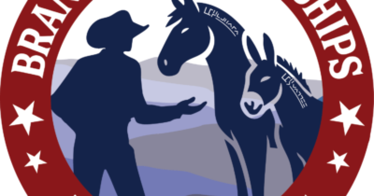Yankee Folly Mustang Adoption Center Wild Horse and Burro Adoption ...