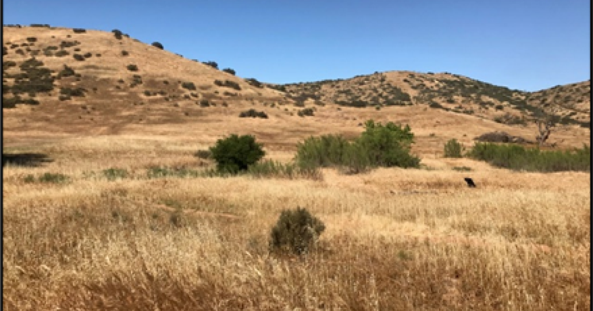 BLM announces seasonal fire restrictions for southern California ...