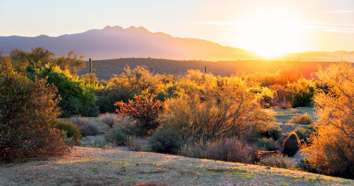 How a century-old law still builds Arizona’s future through BLM-managed ...