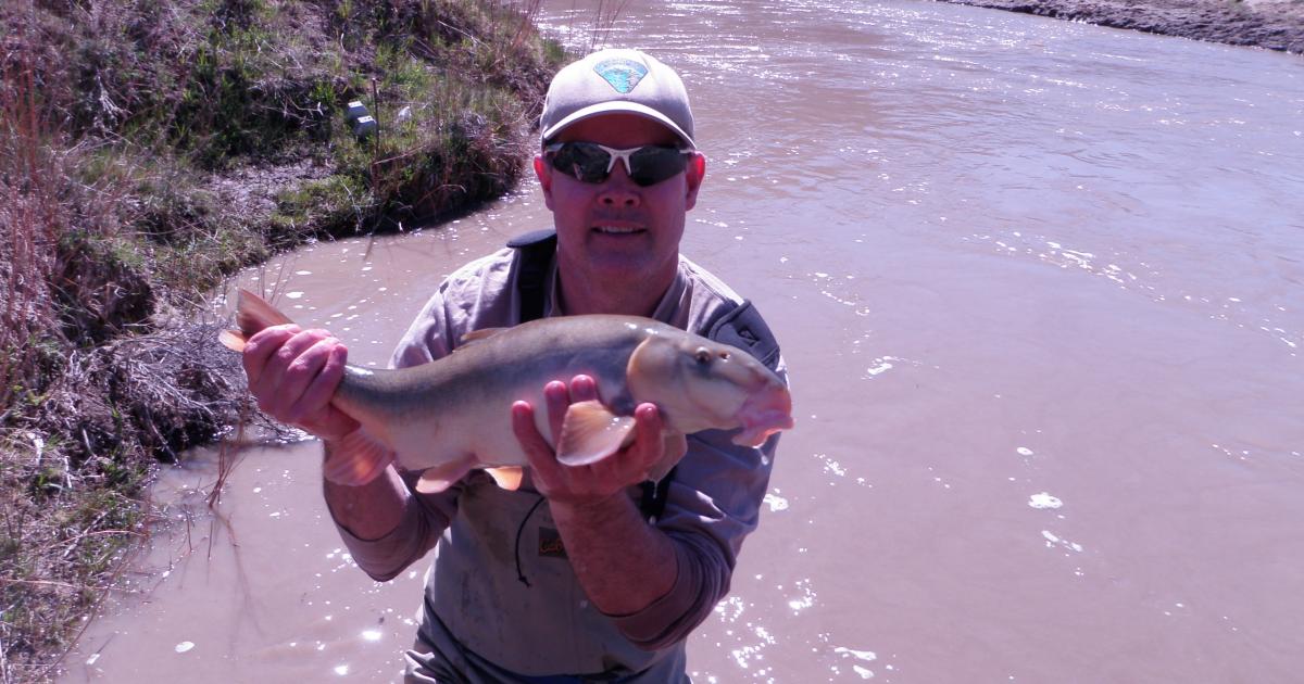 Bringing Back Blueheads in Colorado | Bureau of Land Management