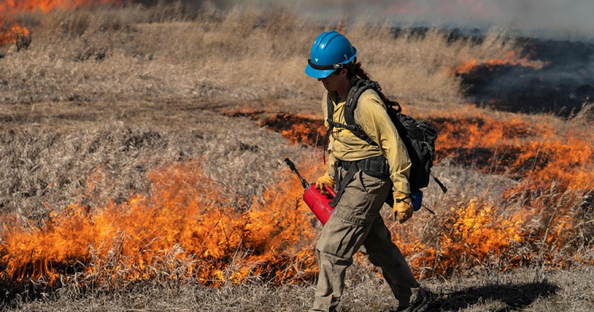 BLM plans prescribed burn at Dean Creek Elk Viewing Area | Bureau of ...