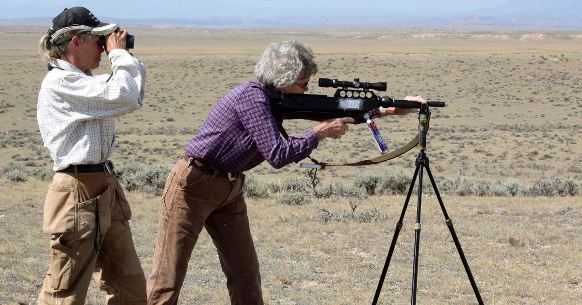 BLM to host webinar on future wild horse and burro grant funding ...